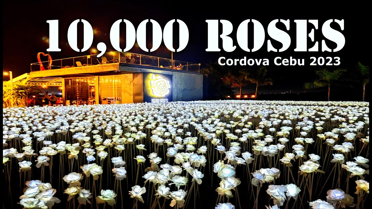 10000 Roses | 10,000 Roses Cordova Cebu | CEBU 2023 - YouTube