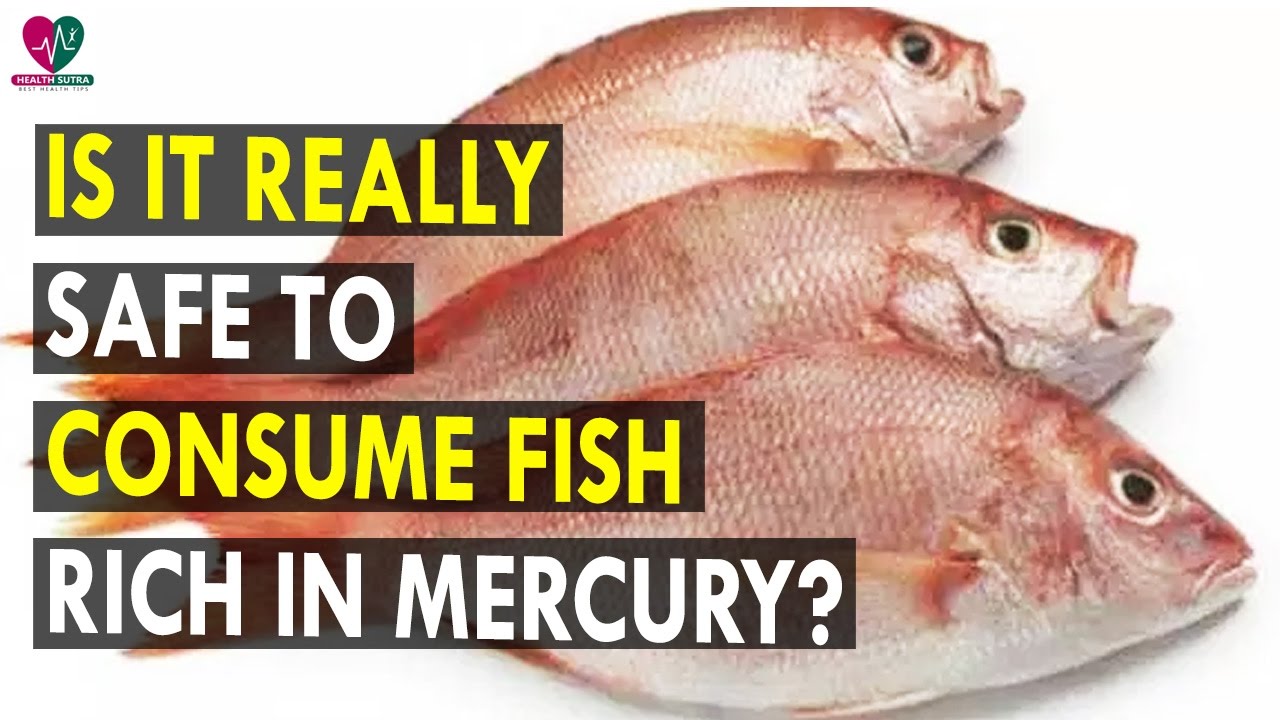 Is it Really Safe to Consume Fish Rich in Mercury - Health Sutra - Best ...