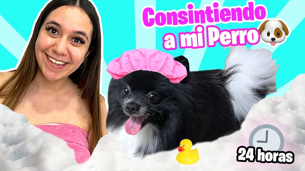 24 Horas Consintiendo A Mi Perro🐶😍 Youtube