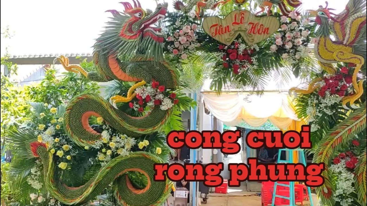 cong cuoi rong phung tri nguyen sdt 0971162417 - YouTube