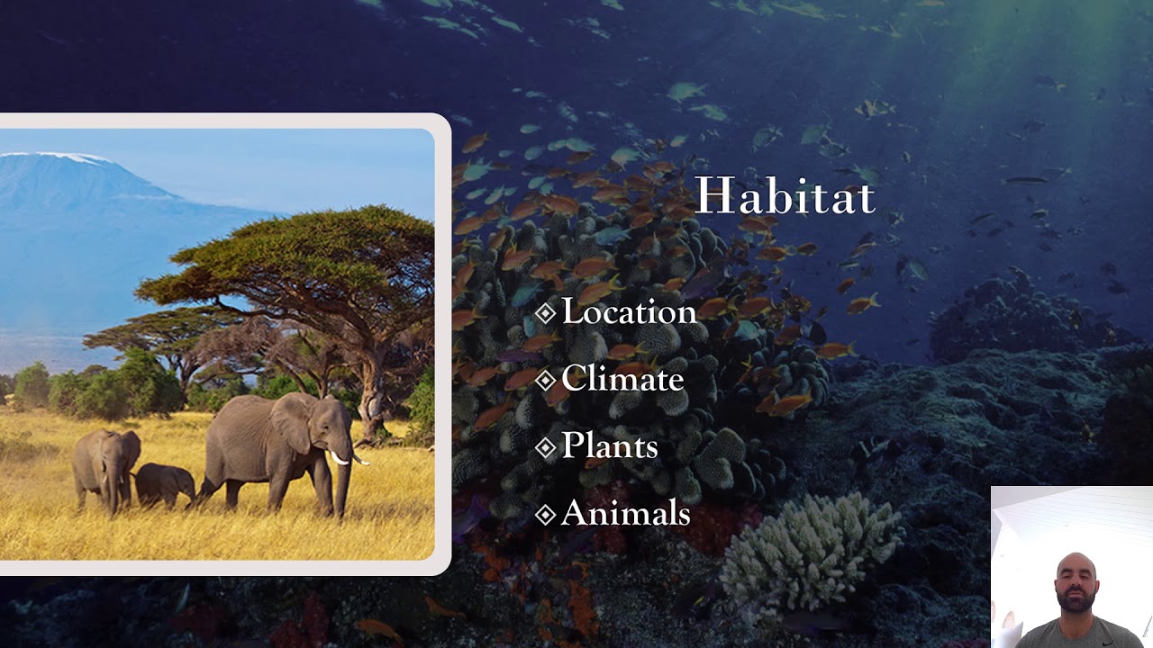 Ecosystem RAT - YouTube