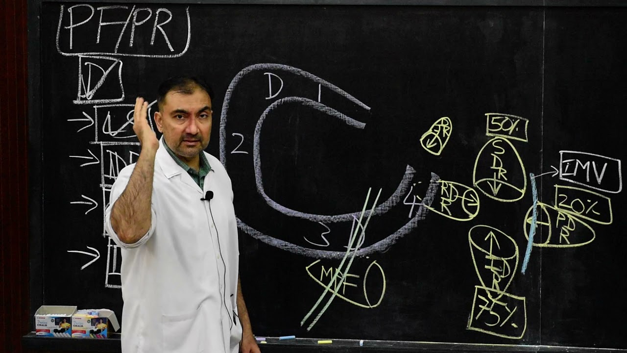 GROSS ANATOMY OF PERITONEAL FOSSAE / RECESSES - YouTube