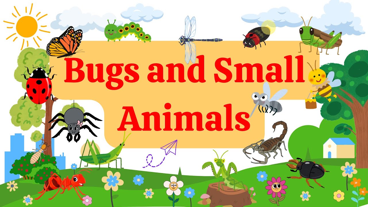 Bugs and Small Animals – Learn Names and Pronunciation! | SmartKids ...