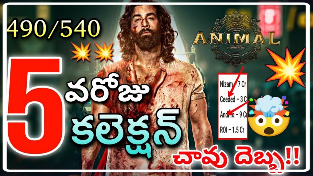 Ranbir Kapoor Animal Movie Box Office Collection 🔥 | Latest Box Office ...