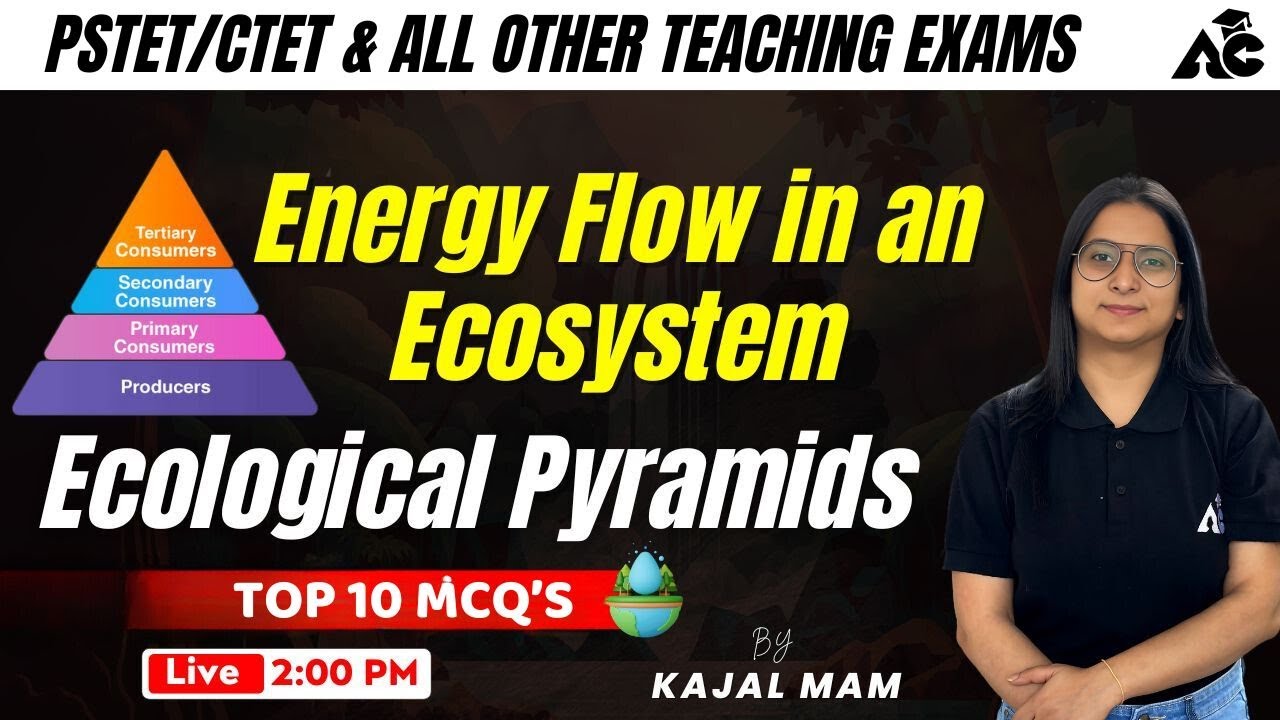 NCERT SCIENCE | ECOLOGICAL PYRAMIDS MCQ'S | PSTET/CTET & ETT CADRE ...