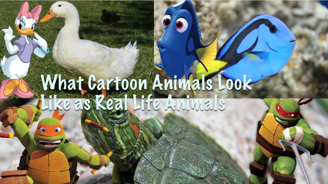 Cartoon Animals and Their Real Life Animal Inspirations - YouTube