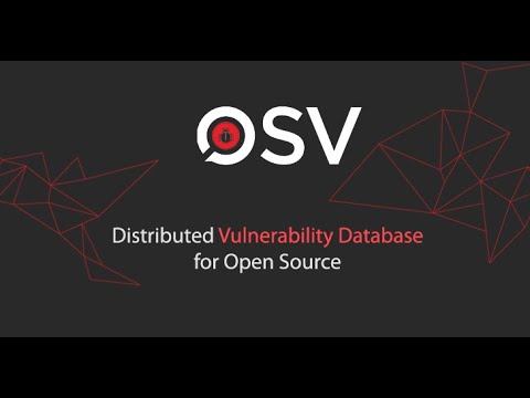 OSV Scanner | Google's Distributed Vulnerability Database for Open Source | Tech Primers - YouTube