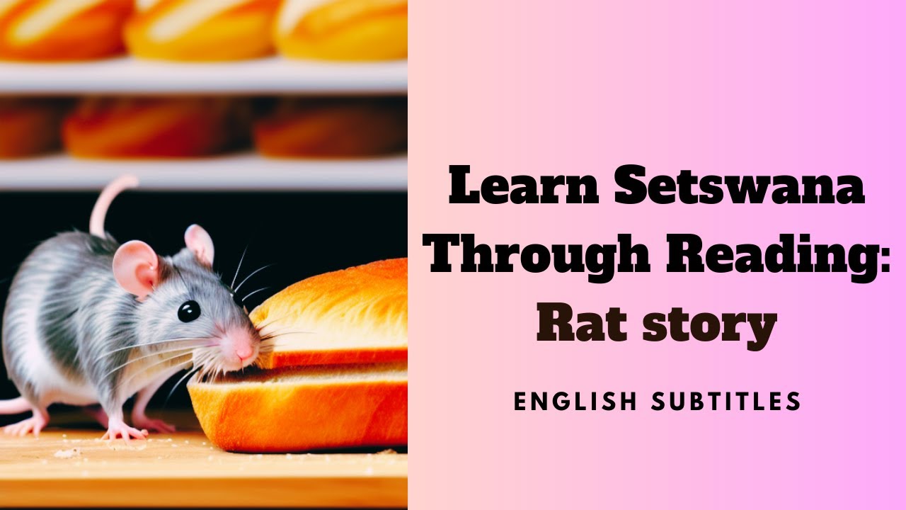 Setswana stories : Tlhaselo ya dipeba - Rat attack #tswanatalk - YouTube