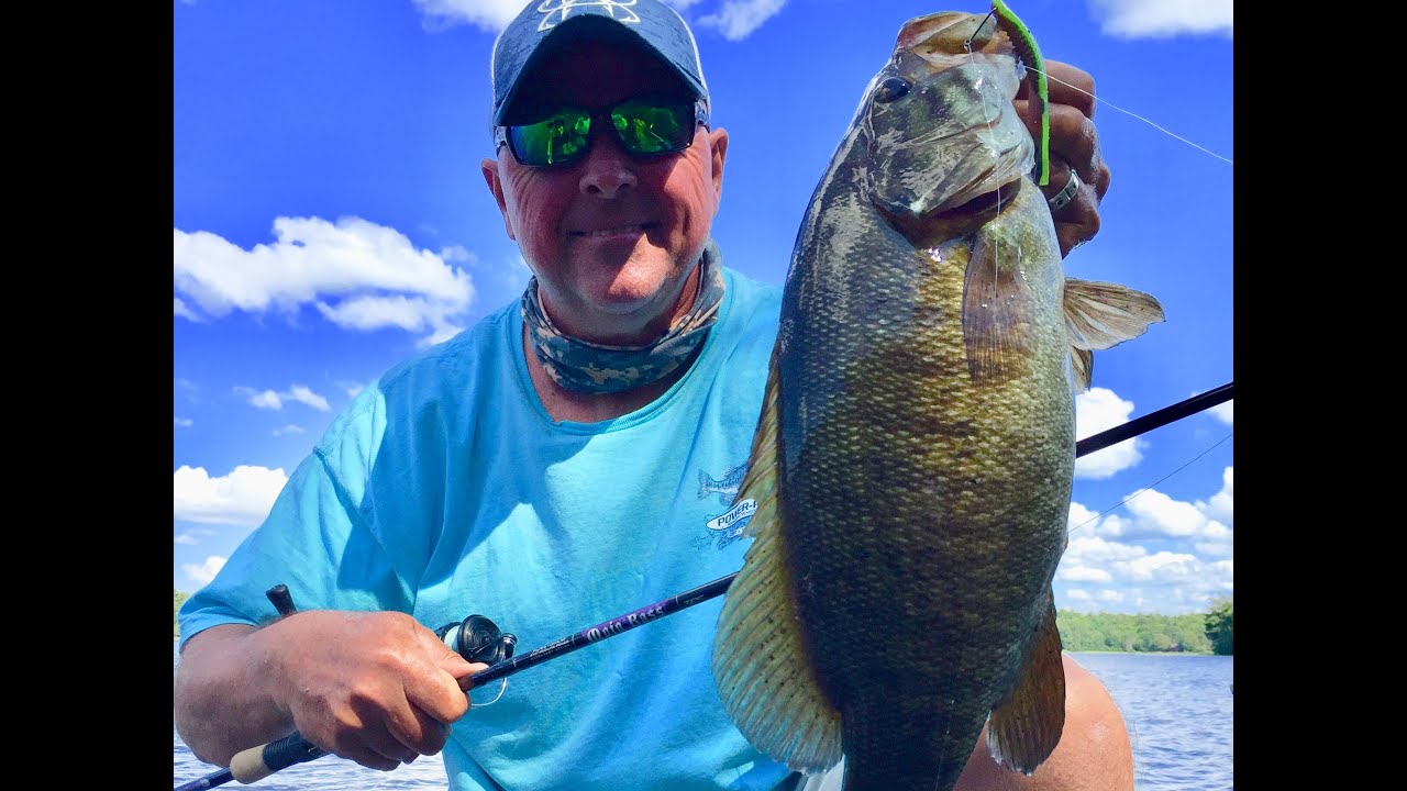 Drop Shot Bass on a hot summer day! - YouTube