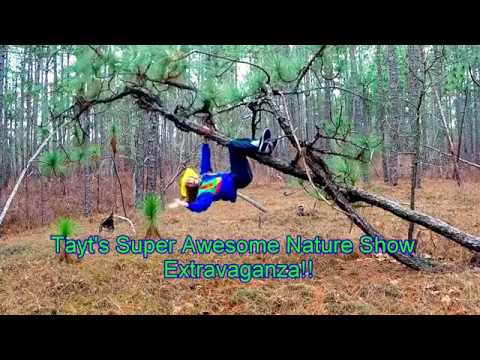 Tayt's Nature Show Intro