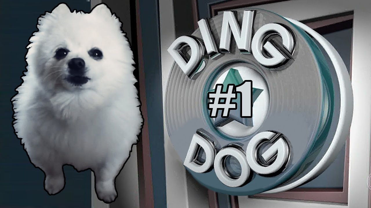 DING DOG #1 - NOVO QUADRO DO CANAL! - YouTube