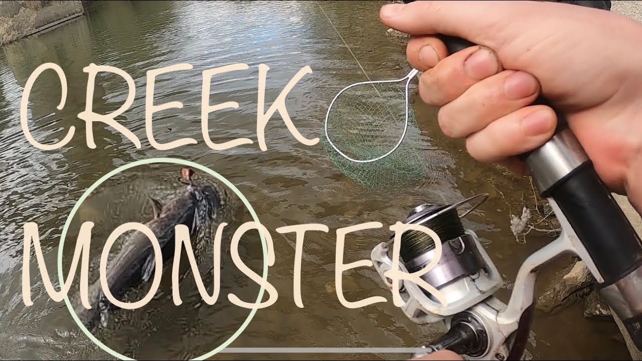 Fighting A Creek Monster - “Rollin On The River” Ep.5 Fish OHIO Catfish ...