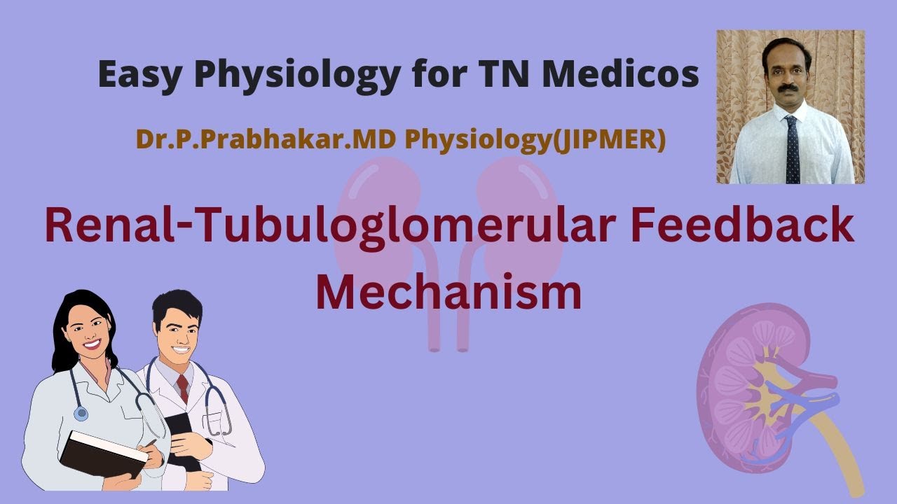 Tubuloglomerular Feedback Mechanism YouTube tubuloglomerular-feedback-mechanism-youtube