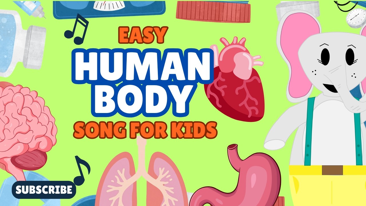 Human Body Song for Kids 🧠 ️ | Learn Organs (Heart, Brain & More) | Fun ...