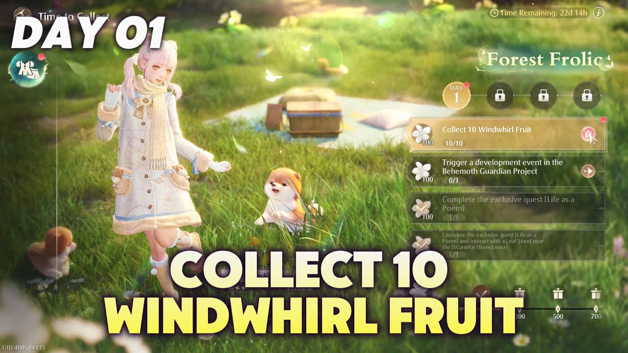 Collect 10 Windwhirl Fruit | Infinity Nikki - YouTube