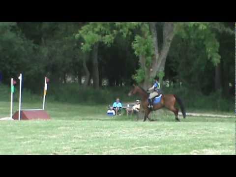 Erin Loitfellner & Life of Reilly Go Bragh- FRVPC Mini BN XC - YouTube
