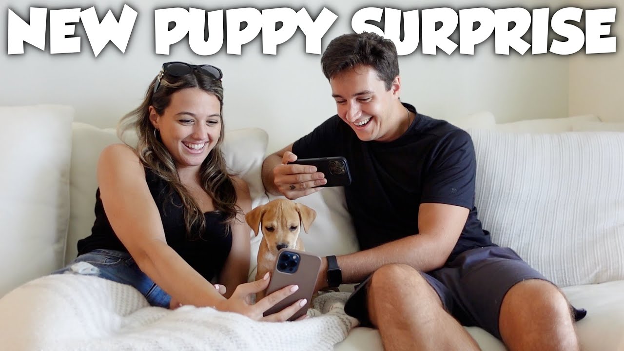 SURPRISING OUR FAMILY WITH OUR PUPPY! - YouTube
