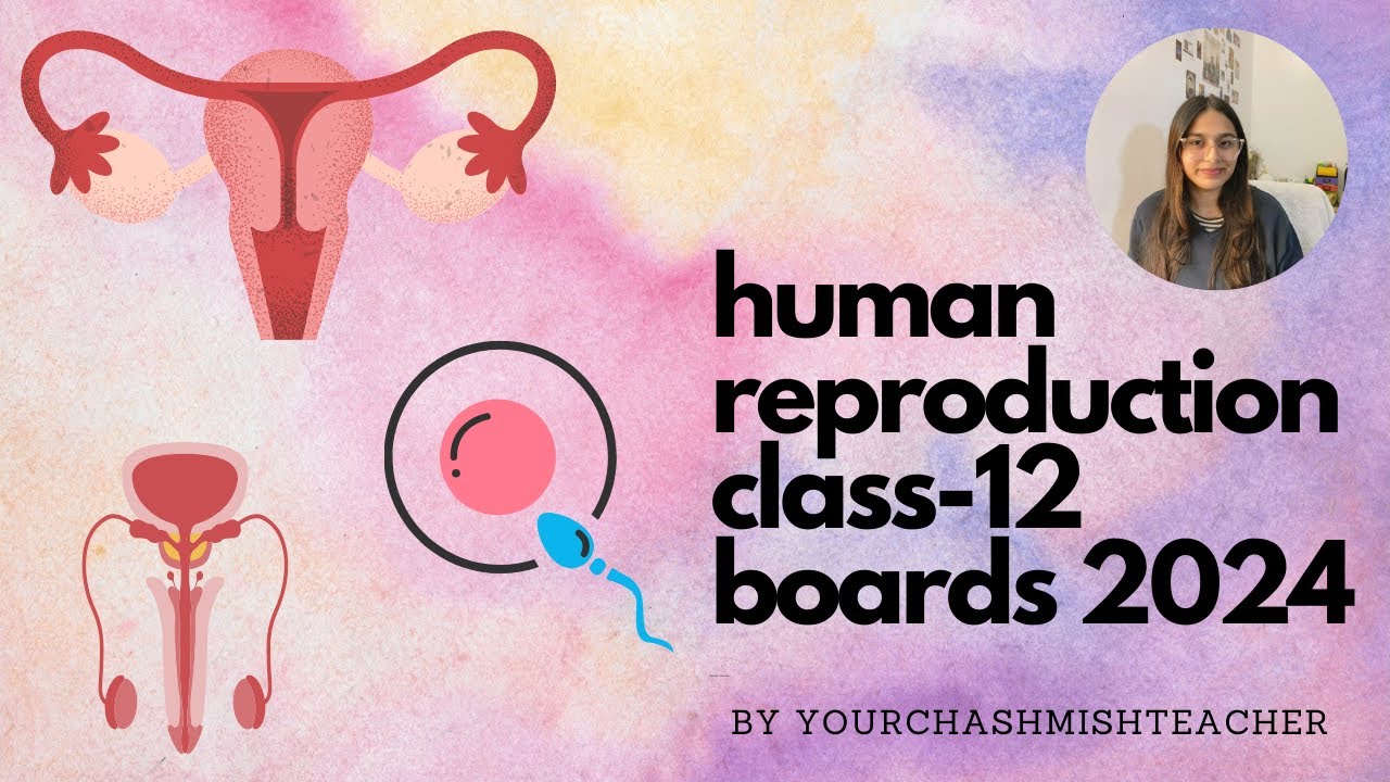 Human reproduction | class-12 CBSE BOARDS 2024 - YouTube