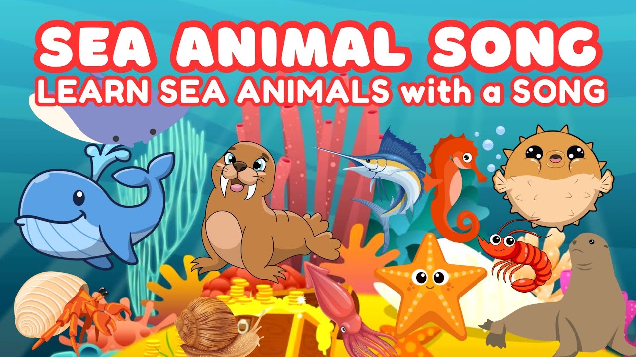 Sea Animal Song for Kids | Learn Ocean Animals with a Song - YouTube