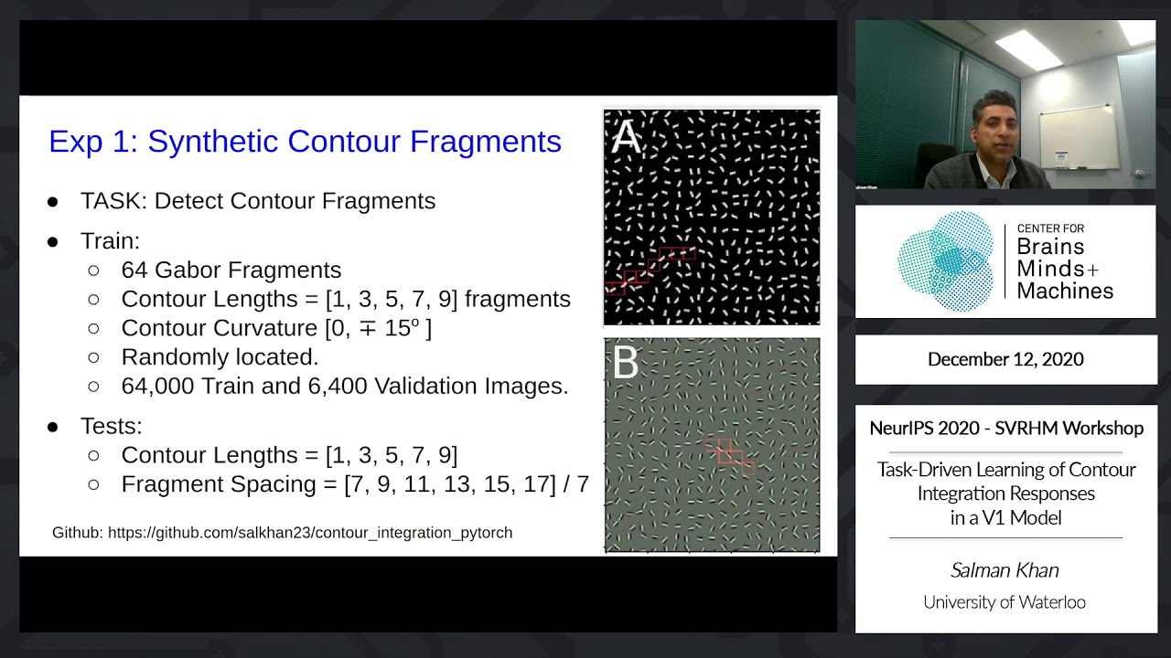 Task-Driven Learning of Contour Integration Responses in a V1 Model ...