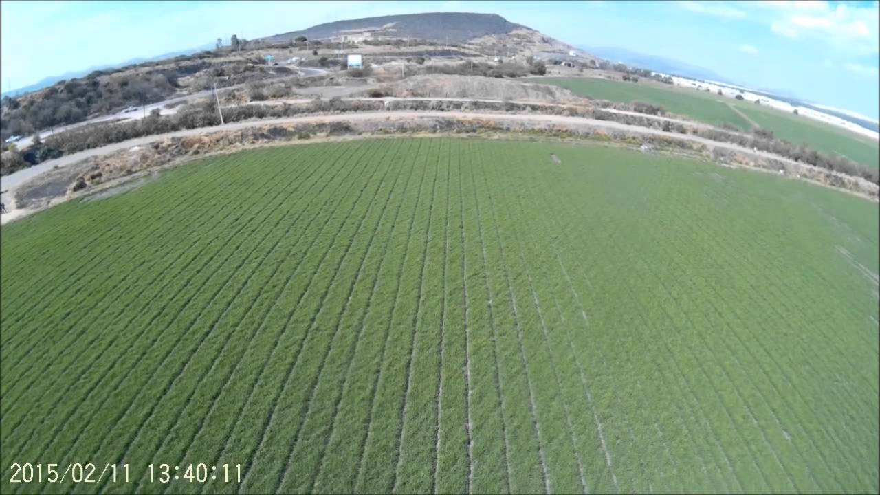 sembradio 1 con deodato - YouTube