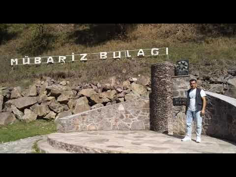 kamalın qolu