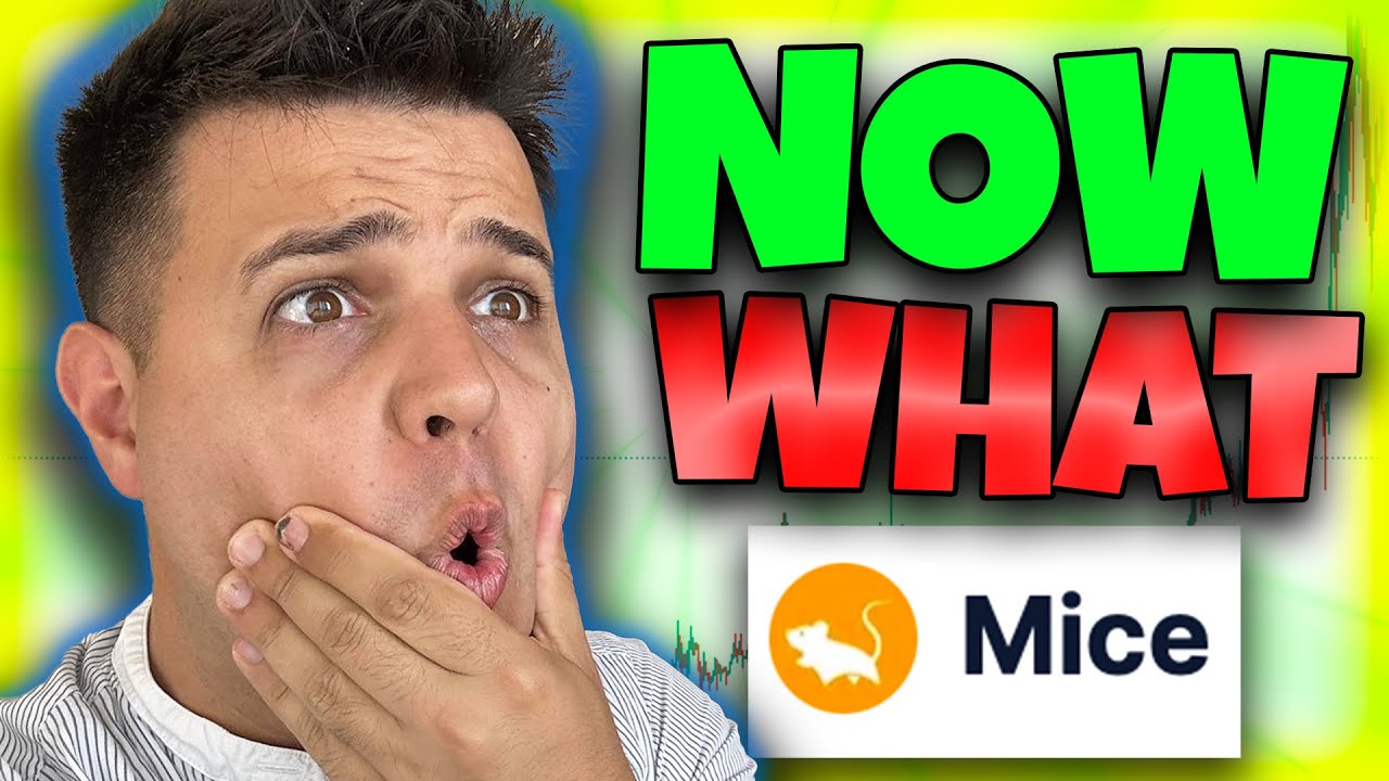 Mice Token MICE Crypto Coin Review Will I buy some? *WATCH BEFORE YOU ...