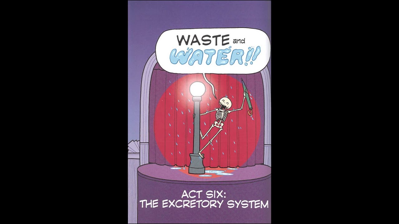 Human Body Theater by Maris Wicks - chapter 6 Excretory System ...