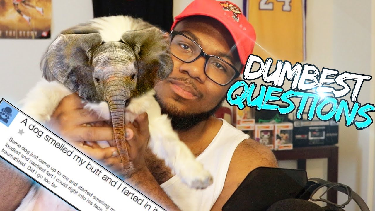 10 DUMBEST QUESTIONS EVER ASKED ON THE INTERNET YouTube 10-dumbest-questions-ever-asked-on-the-internet-youtube
