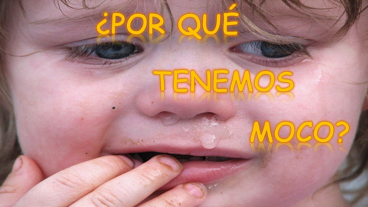 ¿POR QUÉ TENEMOS MOCO? : CurioCiencia - YouTube