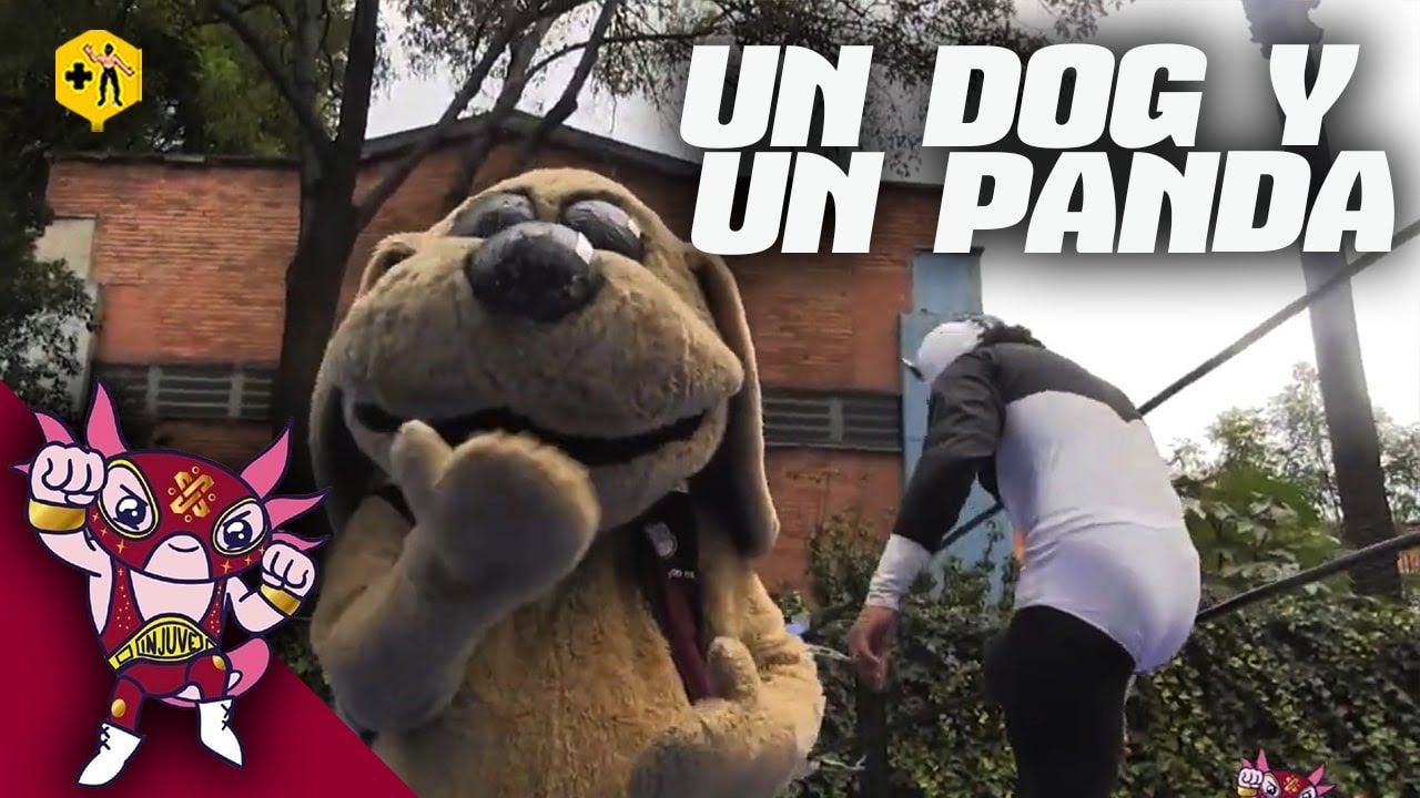 Wisin El Dog, Andy Panda y Gravity vs Solaris, Maniak Cop y Osiris ...
