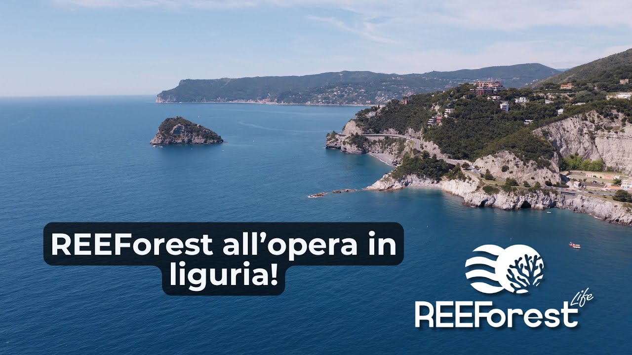 REEForest all'opera in Liguria! - YouTube