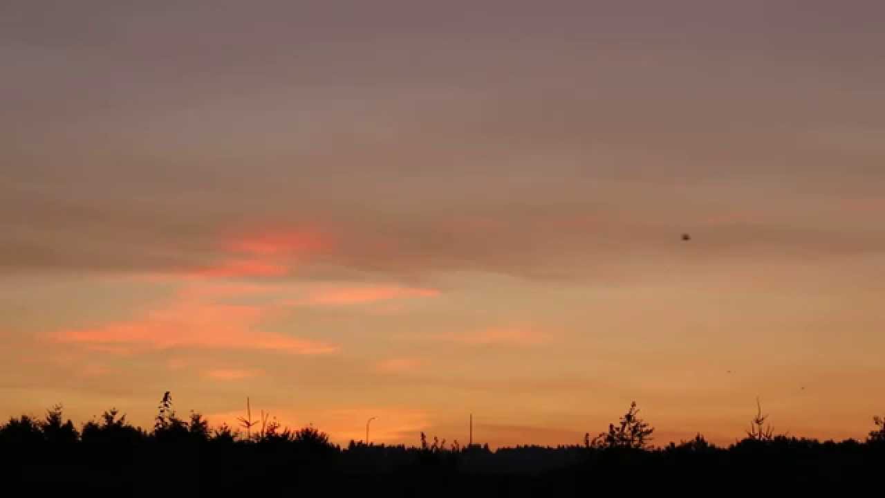 Bothell Crows at Sunrise - YouTube