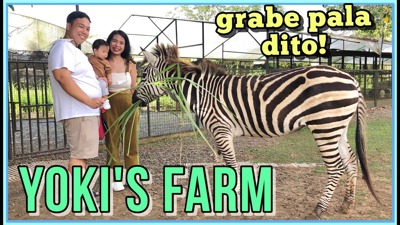 YOKI'S FARM Is it worth it? | Farm visit with a baby - YouTube