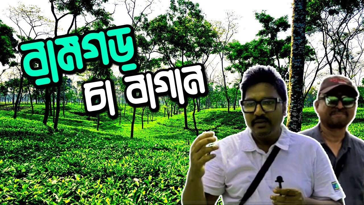 নৈসর্গিক সৌন্দর্যের লীলাভুমি রামগড় চা বাগান | Ramgar Tea Estate ...