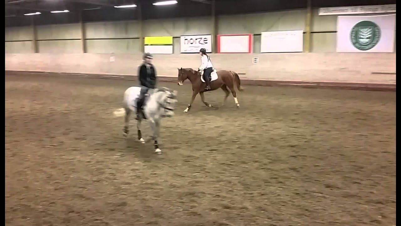 Antz in Pantz - YouTube