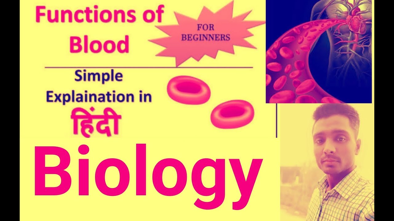 Biology, Function of Blood - YouTube
