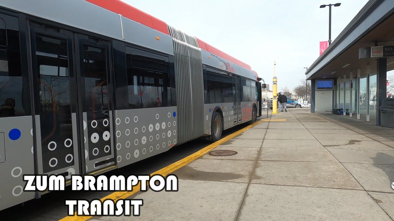 511C ZUM Brampton Transit Ride From Humber College Bus Terminal To ...