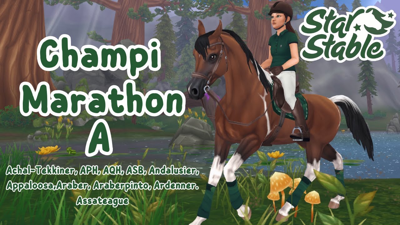 Ich reite mit jedem Pferd ein Championat | SSO | Alphabet Champi ...