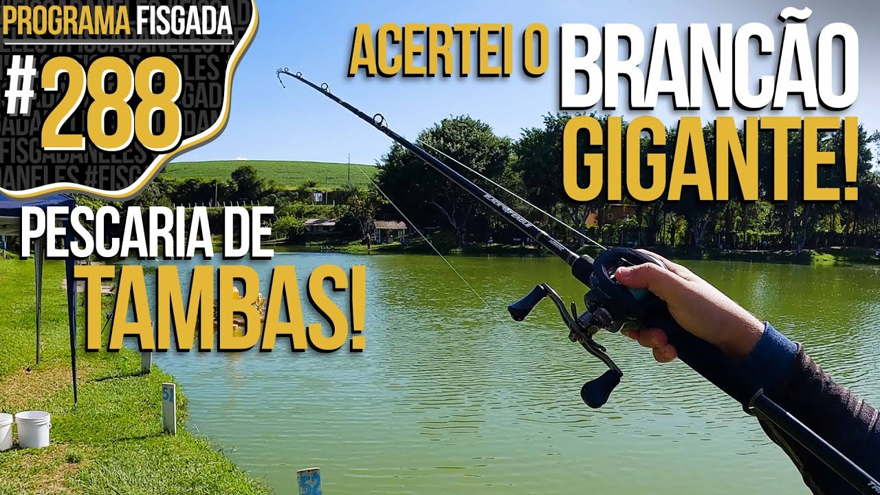 ACERTEI O BRANCÃO GIGANTE! SISTEMA PARA TAMBA GRANDE! (PESCARIA) - YouTube