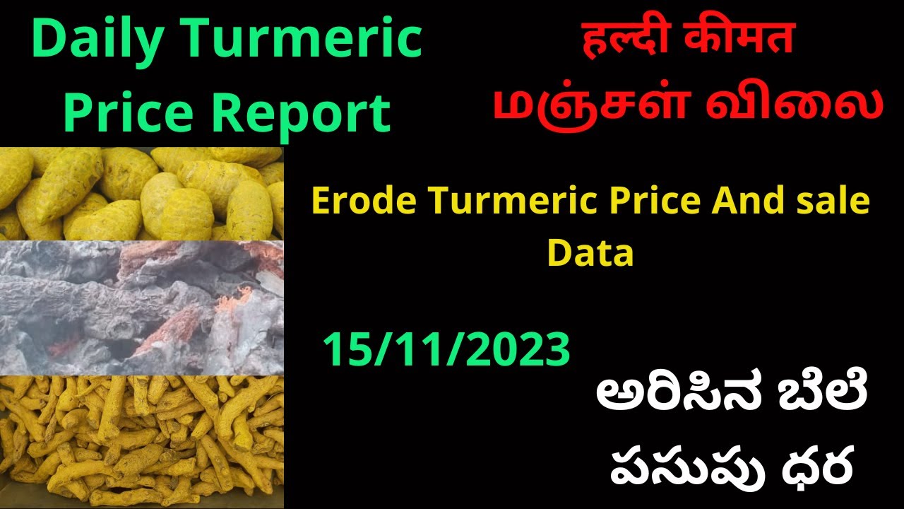 Turmeric Price Today | Turmeric Price At Erode | ஈரோடு மஞ்சள் ஏலம் ...