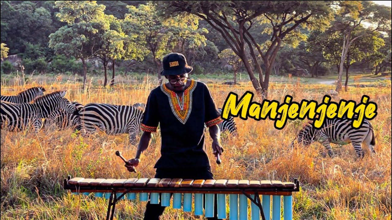 Peace For Africa (Wildlife) #365days of Marimba Day 317 - YouTube