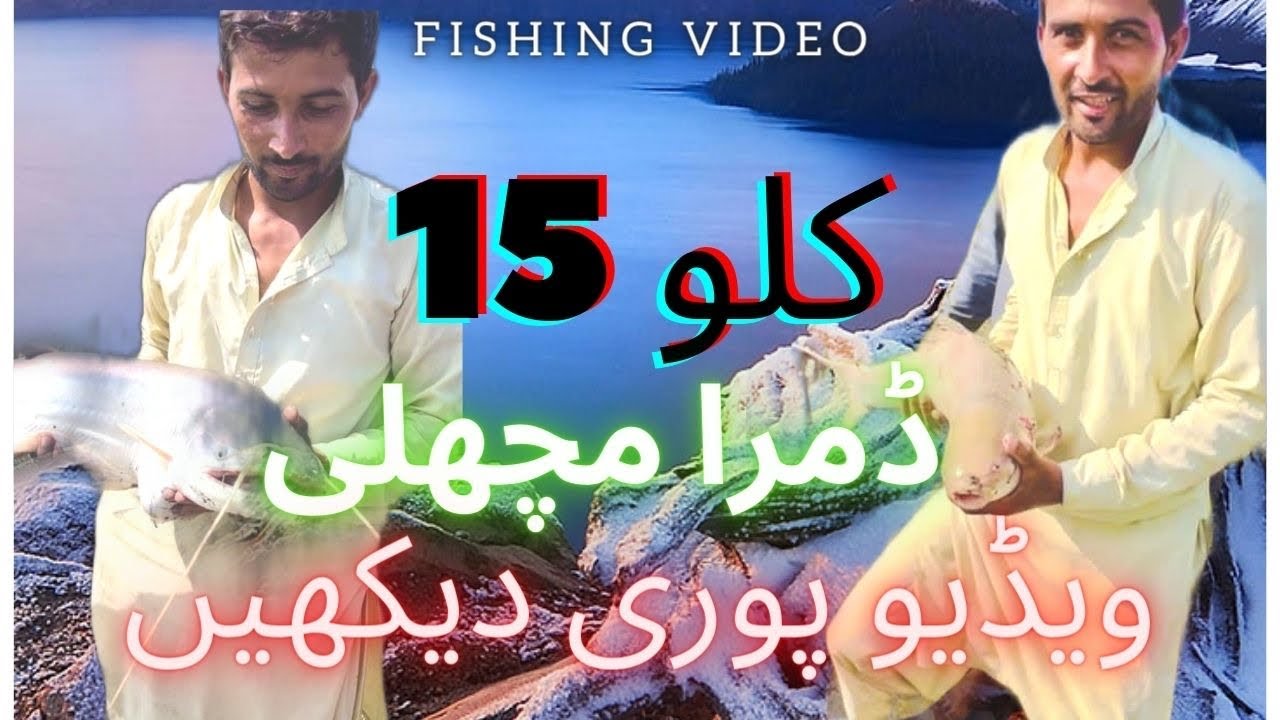 Fishing video | 15 kg Fish Catch | Damra Fishing video by Yaseen786 ...