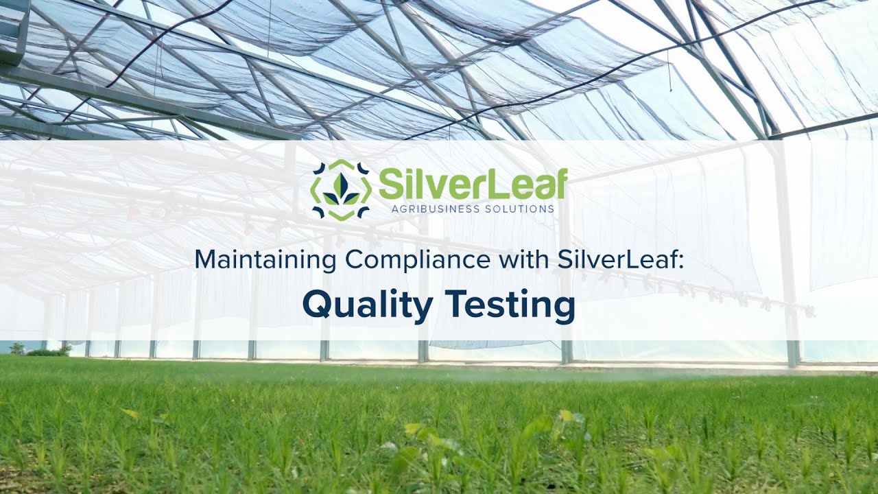 Silverleaf Management Owner’S Portal – ANPBO