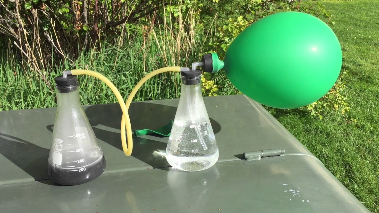 Caden - Foxtail hydrogen experiment - YouTube