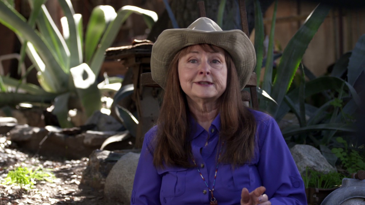 Mysteries at the National Parks | Episode 3 Preview | Season 2 - YouTube