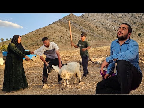 Hojjat’s Bitter Defeat: The Victory of Nemat and the Nomadic Family