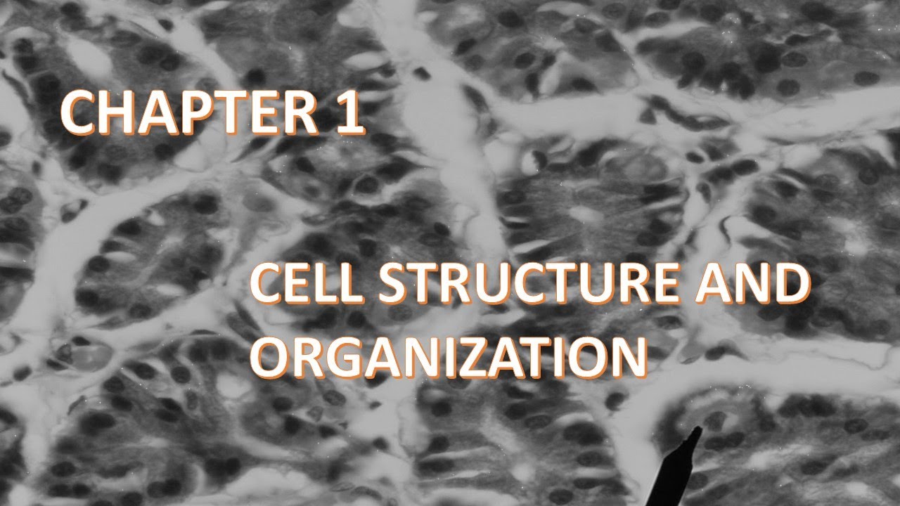 IGCSE BIOLOGY | CHAPTER 1: Cell structure and Organization| IGCSE ...
