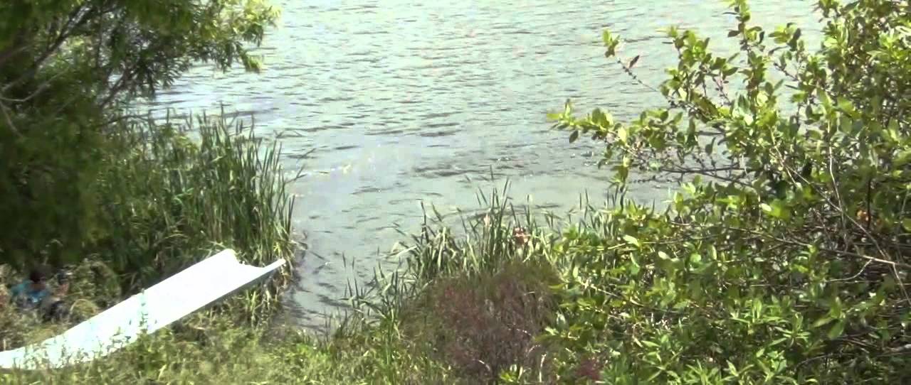 Forest Lakes - Lake Water Slide - YouTube