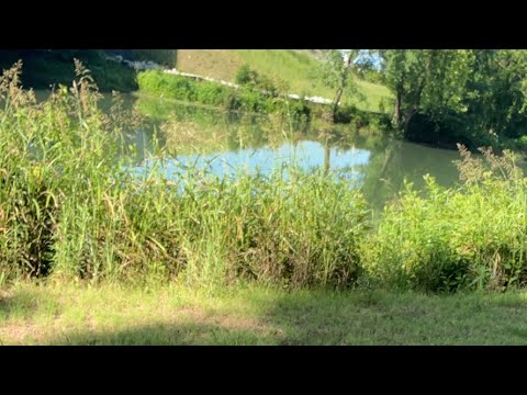 Rico Knows post workout Q & A - YouTube